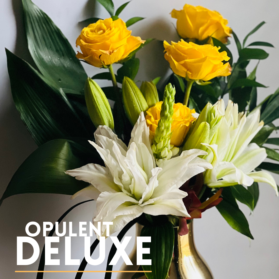 Opulent Deluxe – Mone Opulence